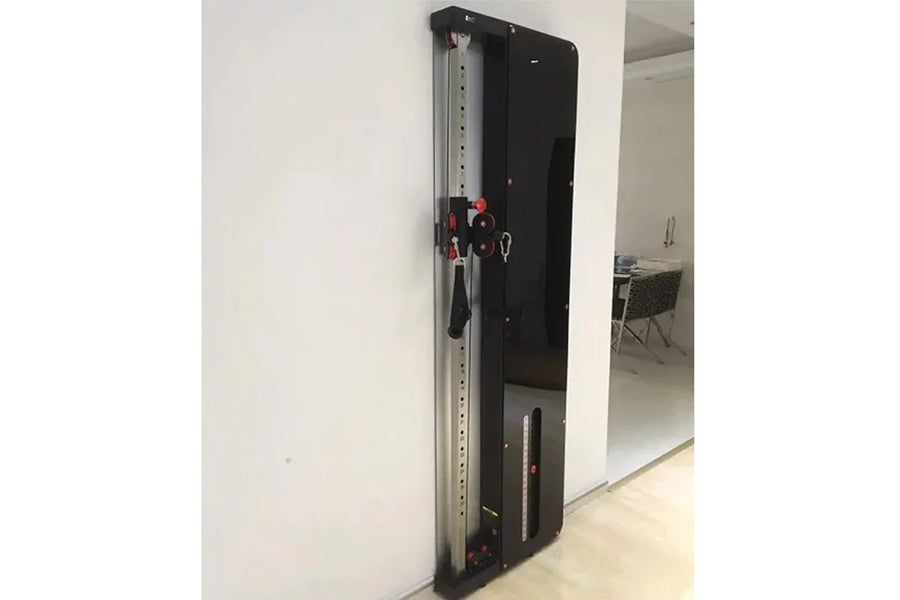 Warrior Wall Mounted Cable Pulley Home Gym System (Single Stack) – 360 ...