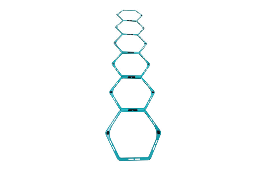 Warrior Hexagonal Agility Ladder & Hurdle – 360 Fitness Superstore