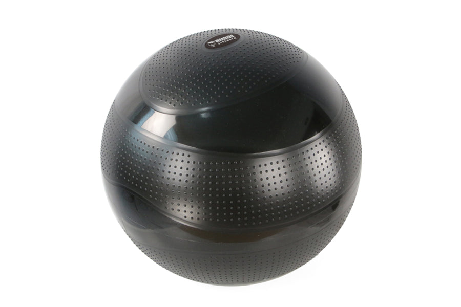 Warrior Deluxe Exercise Ball – 360 Fitness Superstore