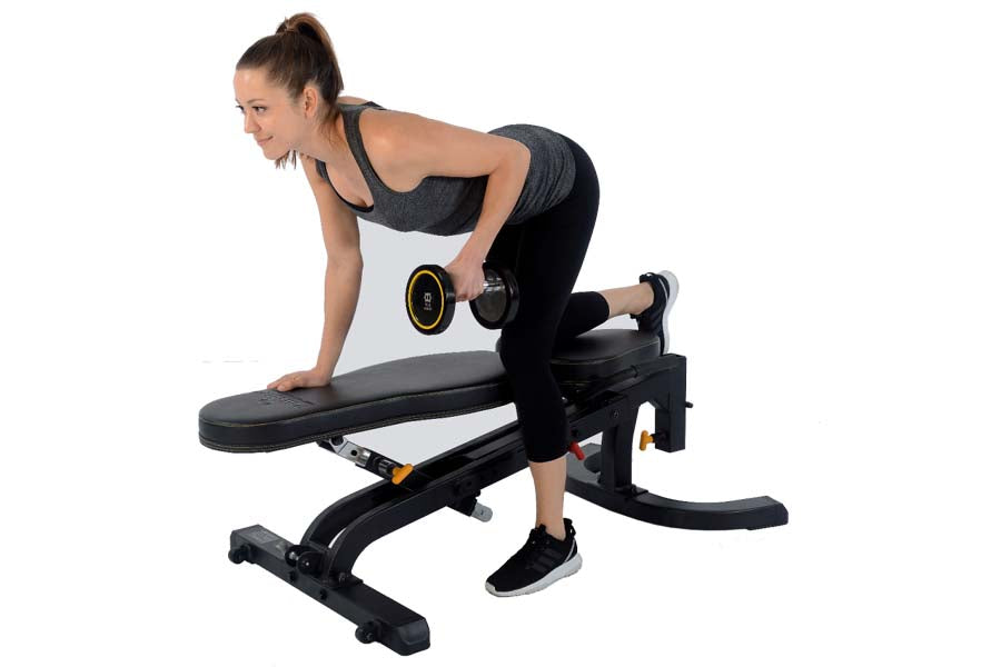 Powertec Workbench F.I.D. Bench (🏃IN-STORE SPECIAL) – 360 Fitness ...