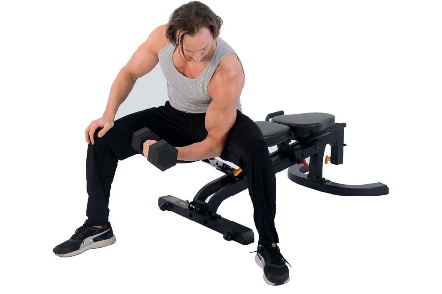 Powertec Workbench F.I.D. Bench (🏃IN-STORE SPECIAL) – 360 Fitness ...