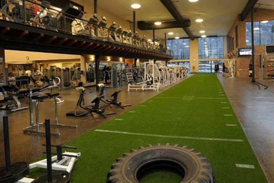 Warrior Workout Turf – 360 Fitness Superstore