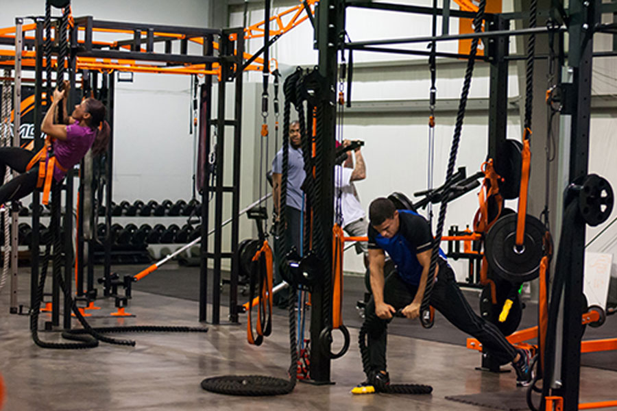 Purmotion FTS 200 Club Model Training Station – 360 Fitness Superstore